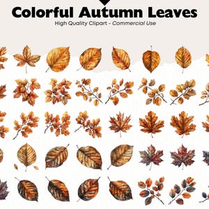 Autumn Leaves Watercolor Clipart Bundle Fall Watercolor Maple Leaf Png ...