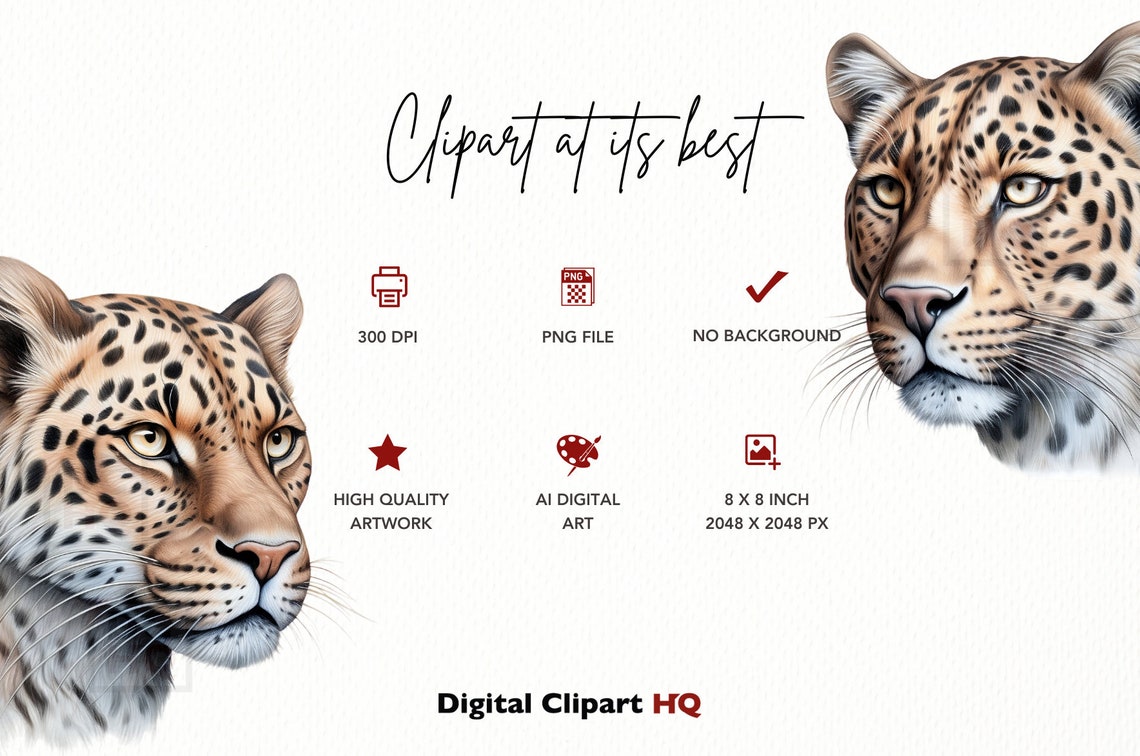 Leopard Clipart Bundle, PNG Jungle Cat Illustrations, Wildlife Digital ...