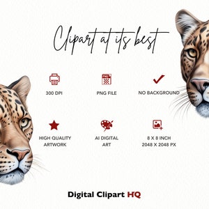 Leopard Clipart Bundle, PNG Jungle Cat Illustrations, Wildlife Digital ...