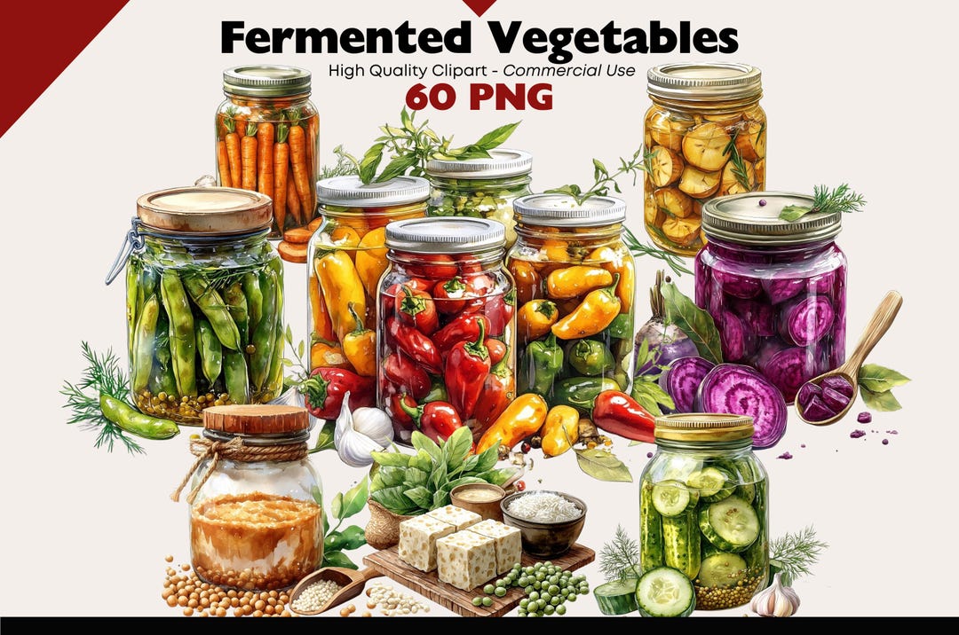 Fermented Vegetables Clipart Bundle Watercolor Pickled Food Graphics ...
