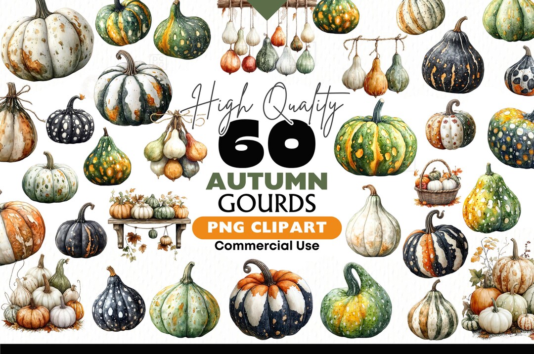 Autumn Gourds Clipart Bundle Watercolor Fall Harvest Graphics Digital ...