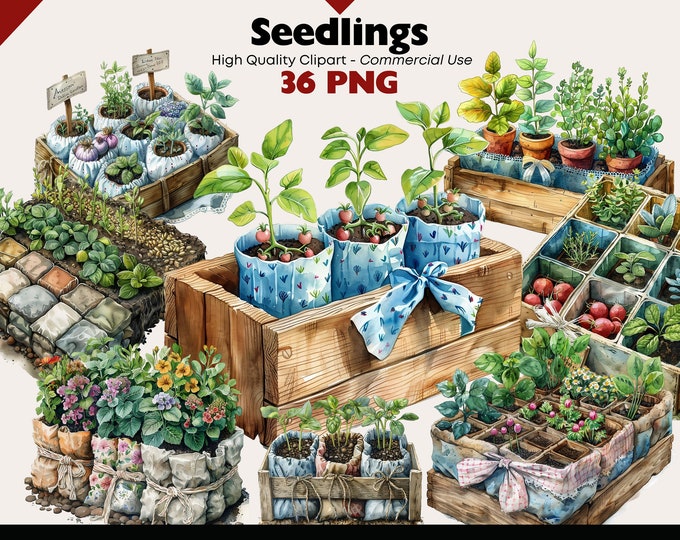 Watercolor Sprout to Life Clipart, Plant Growth Process Illustrations ...