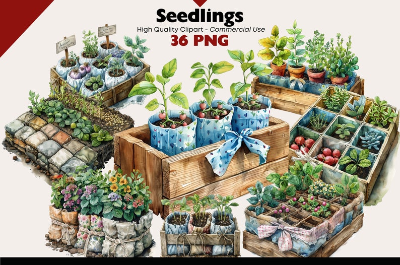 Seedlings Clipart Bundle, Young Plant Watercolor, Vegetable Garden PNG ...