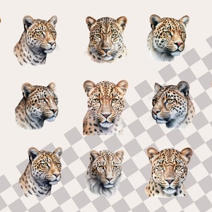 Leopard Clipart Bundle, PNG Jungle Cat Illustrations, Wildlife Digital ...