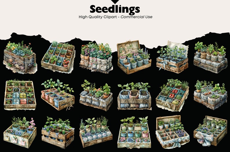 Seedlings Clipart Bundle, Young Plant Watercolor, Vegetable Garden PNG ...