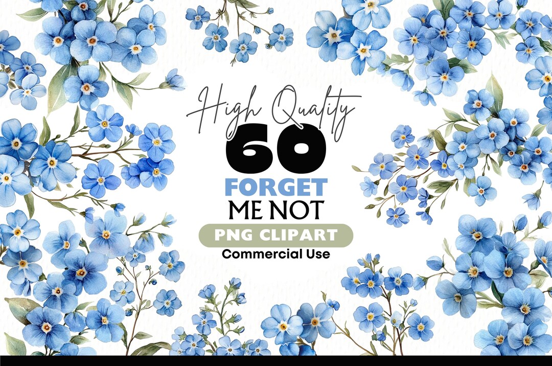Forget Me Not Clipart Bundle Blue Flowers Digital Download PNG Scorpion ...