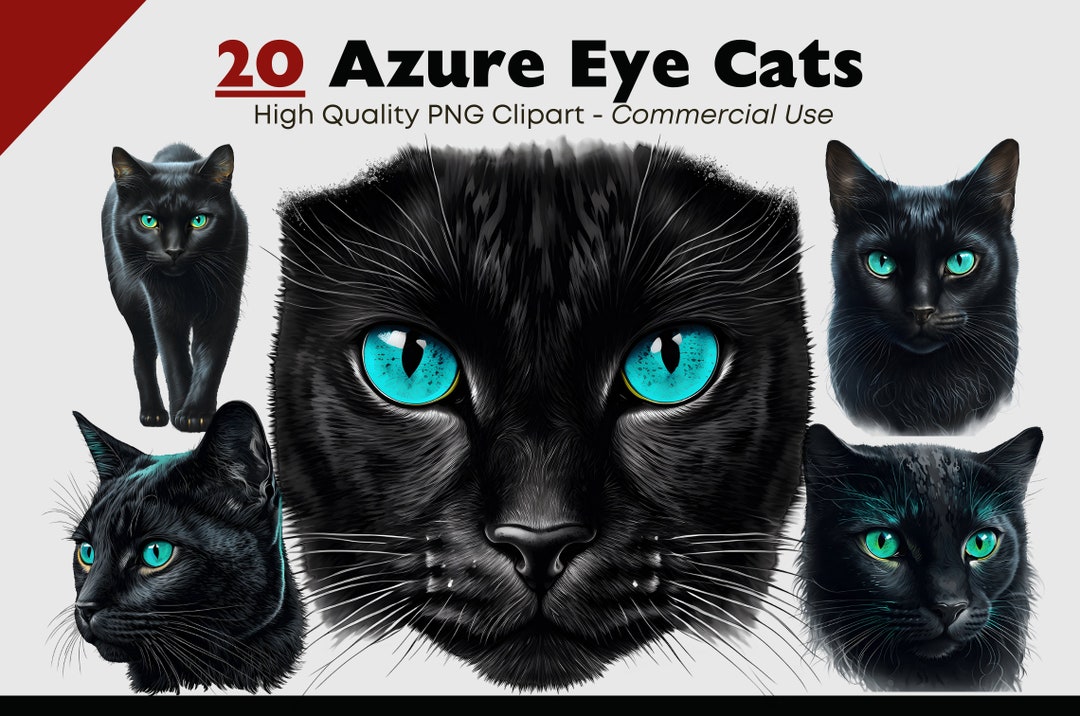 Watercolor Black Cat With Azure Blue Eyes Clipart Bundle, Turquoise Eye ...