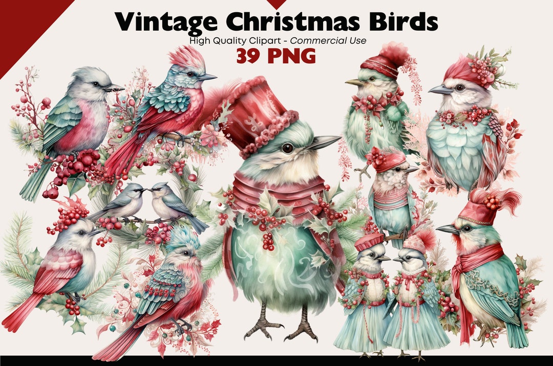 Vintage Christmas Birds Clipart Bundle, Fantasy Birds Watercolor ...