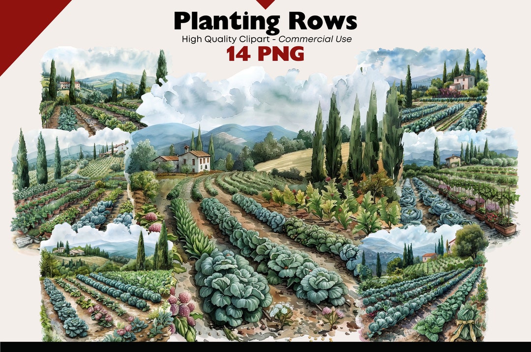 Planting Rows Clipart Bundle, Harvest Season Watercolor Garden Graphics ...