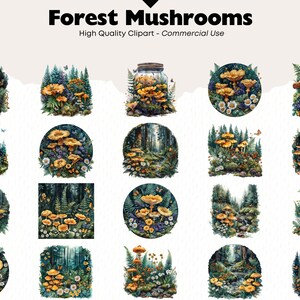 Forest Mushroom Clipart Bundle Fantasy Chanterelles Watercolor ...