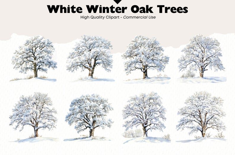 Winter Tree Clipart Bundle Snowy Oak Tree Graphics Digital Download PNG ...