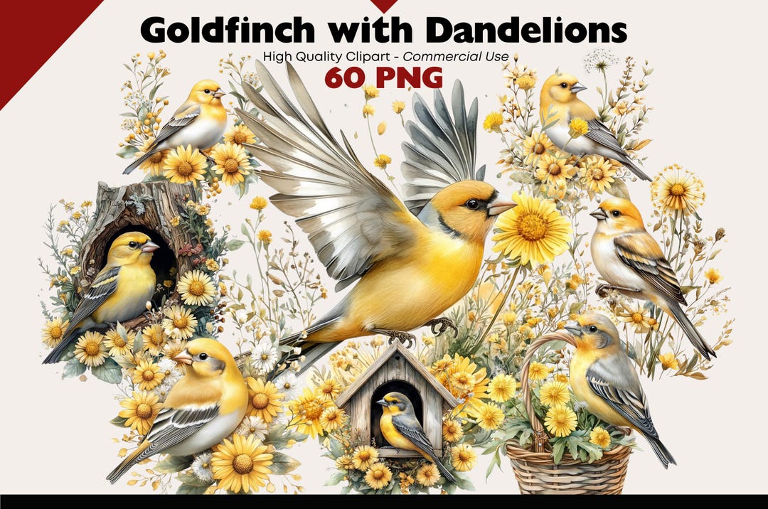 Goldfinch and Dandelions Clipart Bundle Spring Animals Digital Download ...