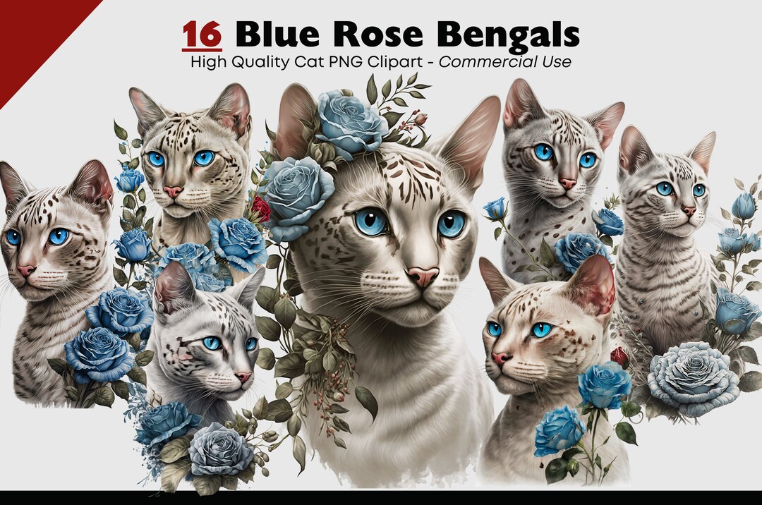 Blue Rose Cat Clipart Bundle, Flower Bengal Cat PNG, Whimsical Bengal ...