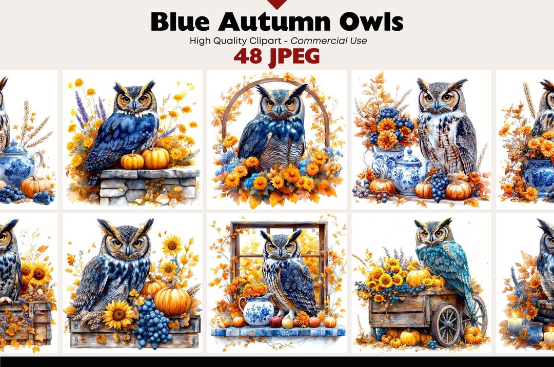 Autumn Owl Clipart, Fall Owl JPEG Bundle, Rustic Pumpkin Sunflower Owl ...