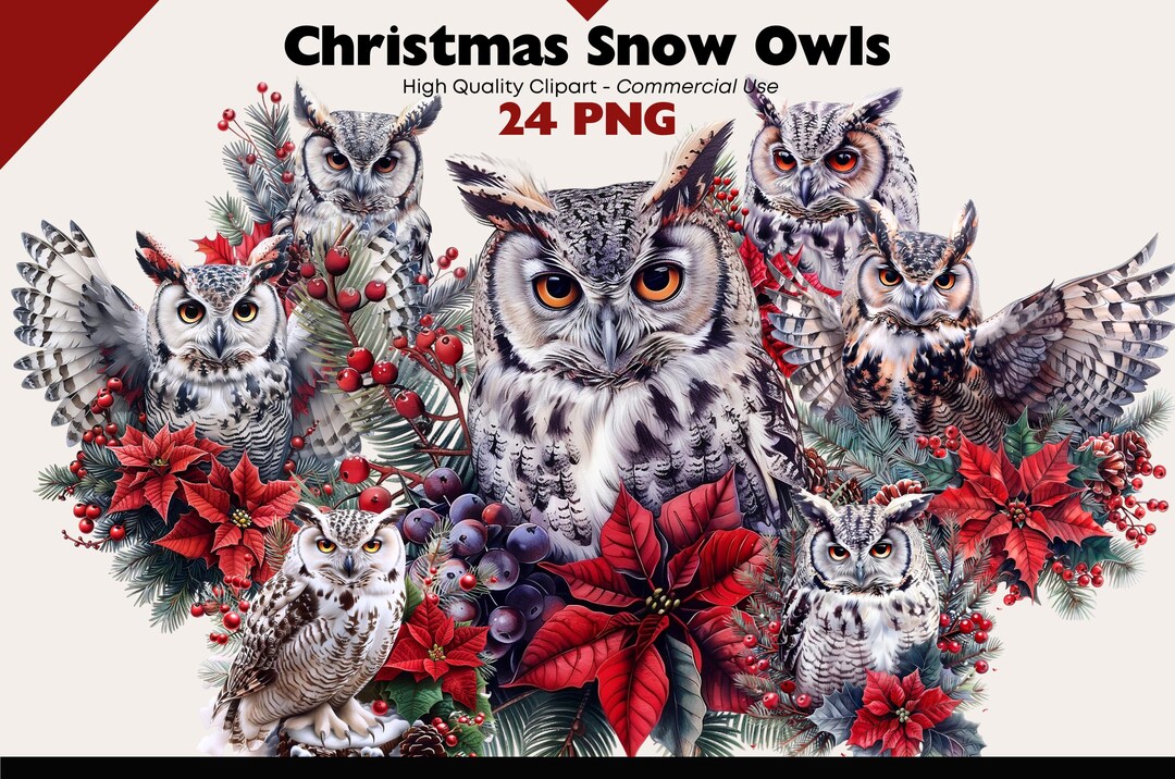 Christmas Snow Owls Clipart Bundle Traditional Winter Graphics Digital ...
