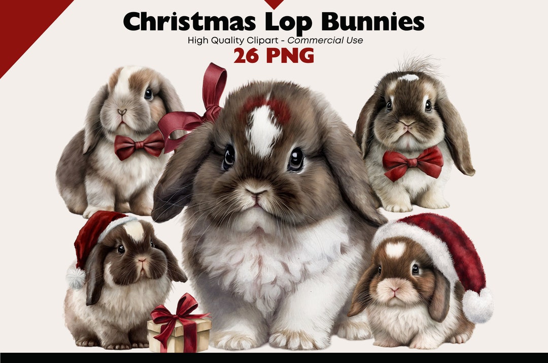 Christmas Bunny Clipart, Lop-eared Rabbit Watercolor, Cute Bunnies ...
