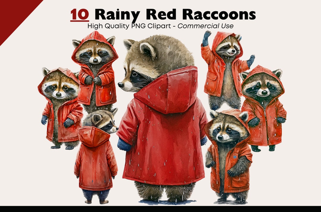 Rainy Raccoon Clipart Bundle Red Raincoat Watercolor Clipart - Etsy