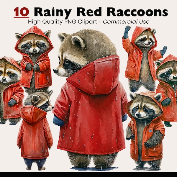 Raccoon Clipart - Etsy