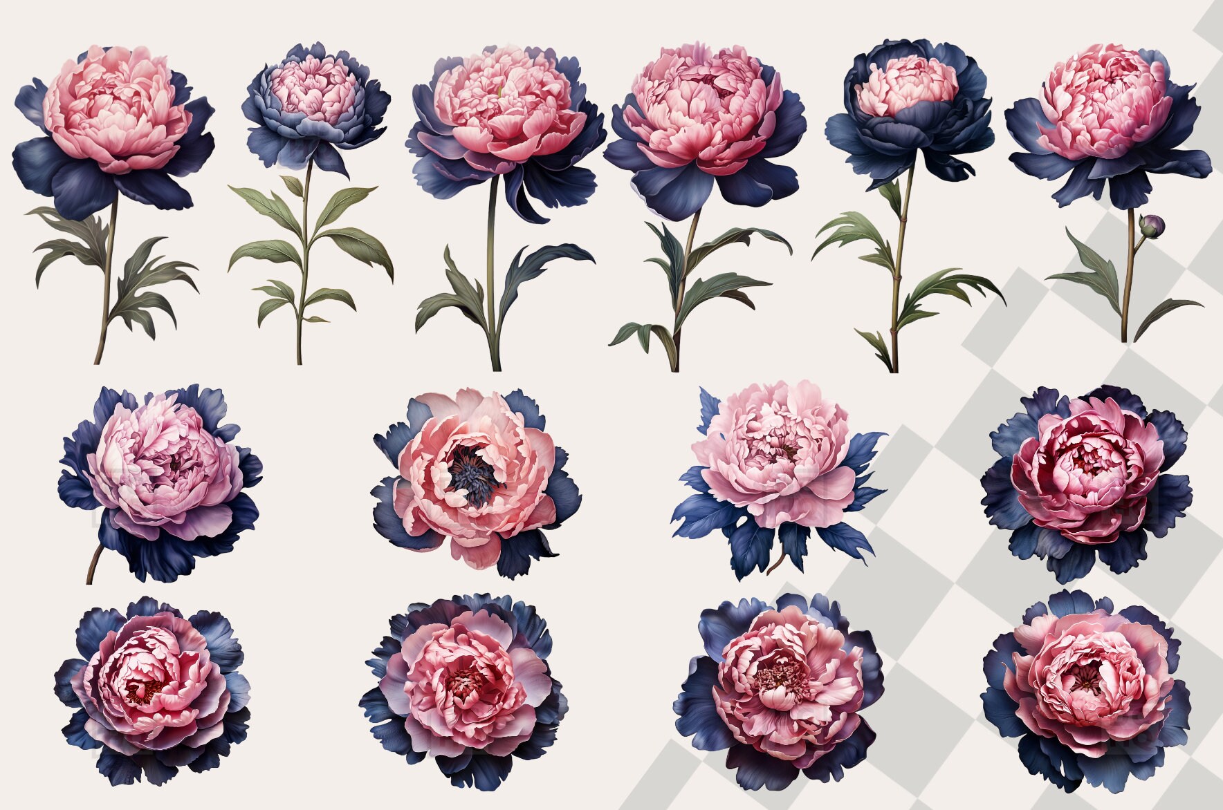 Pink and Blue Peony Clipart Bundle Watercolor Peonies Single - Etsy