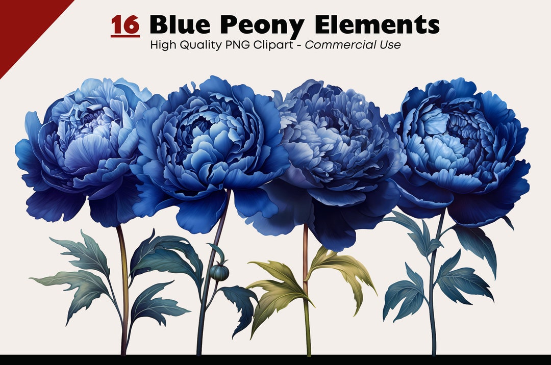 Blue Peonies Clipart Bundle, Realistic Flowers Elements, Watercolor ...