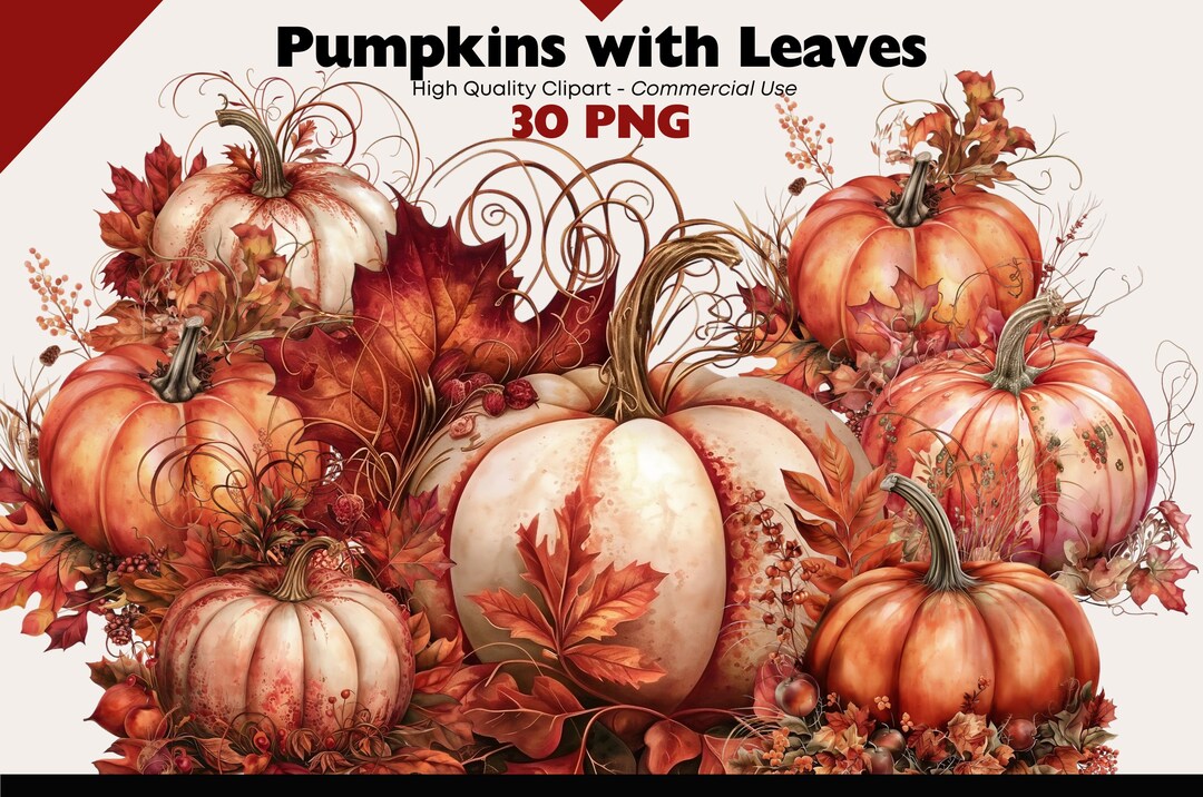 Pumpkins Clipart Bundle Fall Decorations Watercolor Png Pumpkin With ...