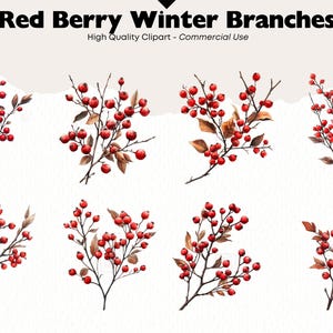 Red Berry Branch Clipart Bundle Watercolor Winter Branches PNG Holiday ...