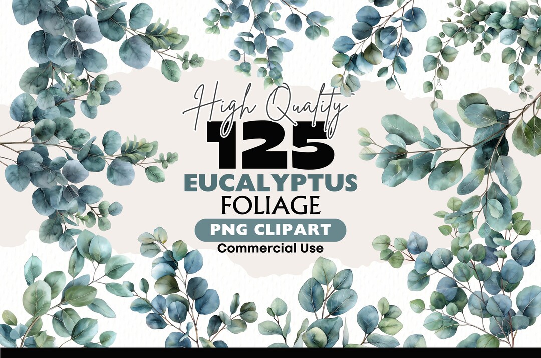 Eucalyptus Clipart Bundle, 125 PNG Greenery Branches and Wreaths ...