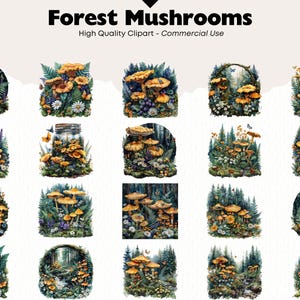 Forest Mushroom Clipart Bundle Fantasy Chanterelles Watercolor ...