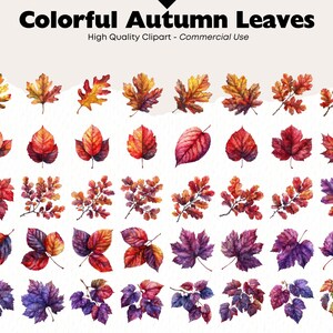 Autumn Leaves Watercolor Clipart Bundle Fall Watercolor Maple Leaf Png ...