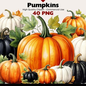 Pumpkin Clipart Bundle | Autumn Harvest Pumpkins | Digital Download PNG ...