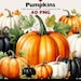 Pumpkin Clipart Bundle | Autumn Harvest Pumpkins | Digital Download PNG ...