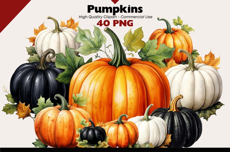 Pumpkin Clipart Bundle | Autumn Harvest Pumpkins | Digital Download PNG ...