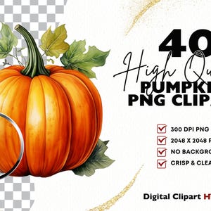 Pumpkin Clipart Bundle | Autumn Harvest Pumpkins | Digital Download PNG ...