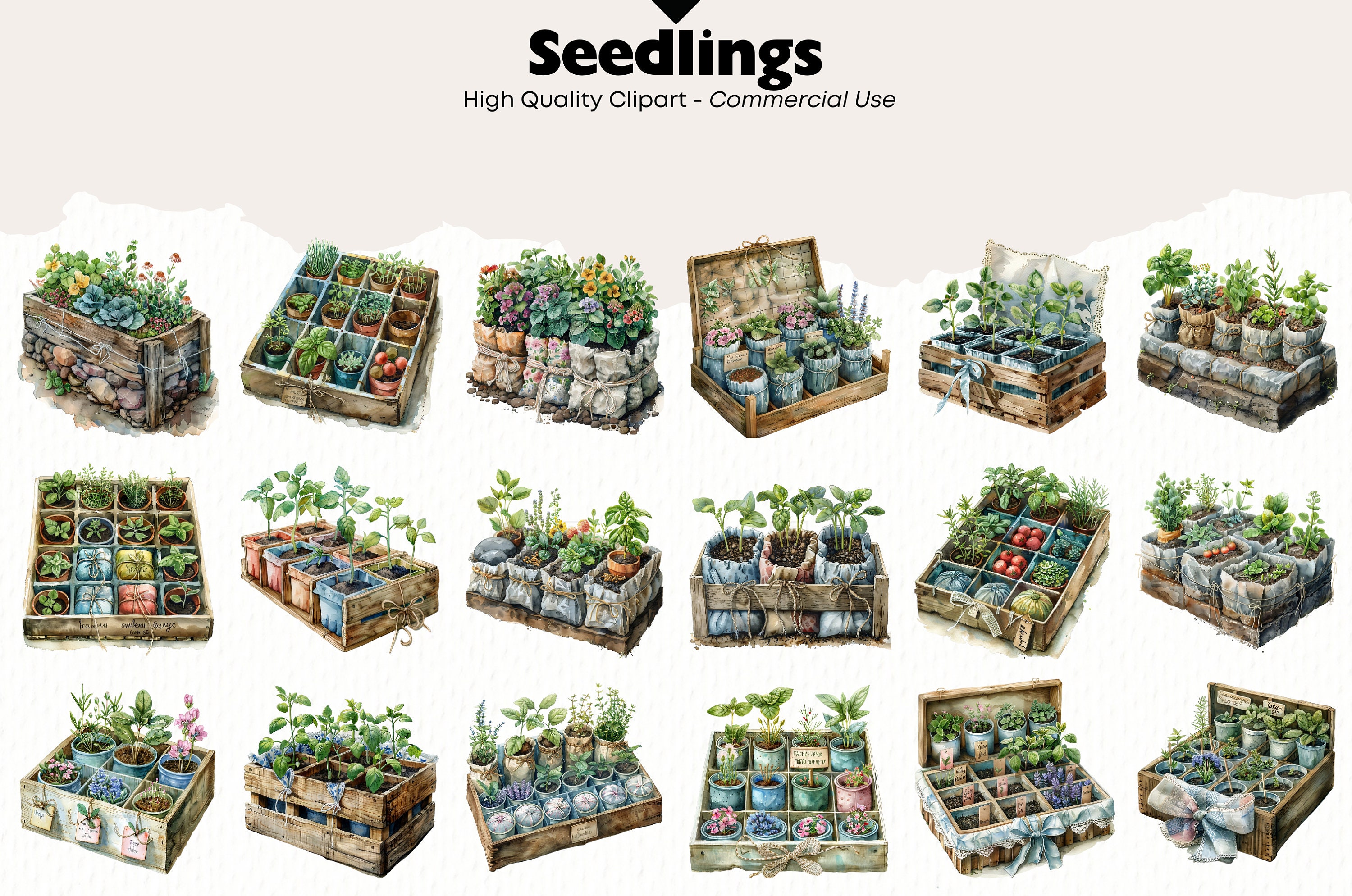 Seedlings Clipart Bundle, Young Plant Watercolor, Vegetable Garden PNG ...