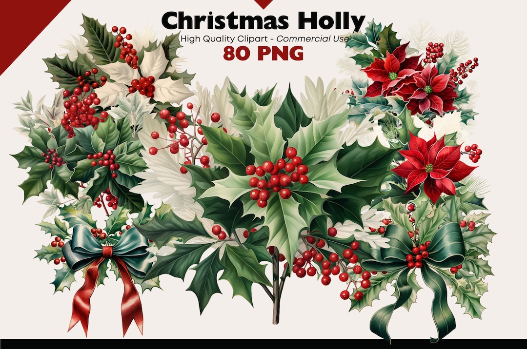 Christmas Holly Clipart, Holly PNG Bundle, Poinsettia and Holly ...