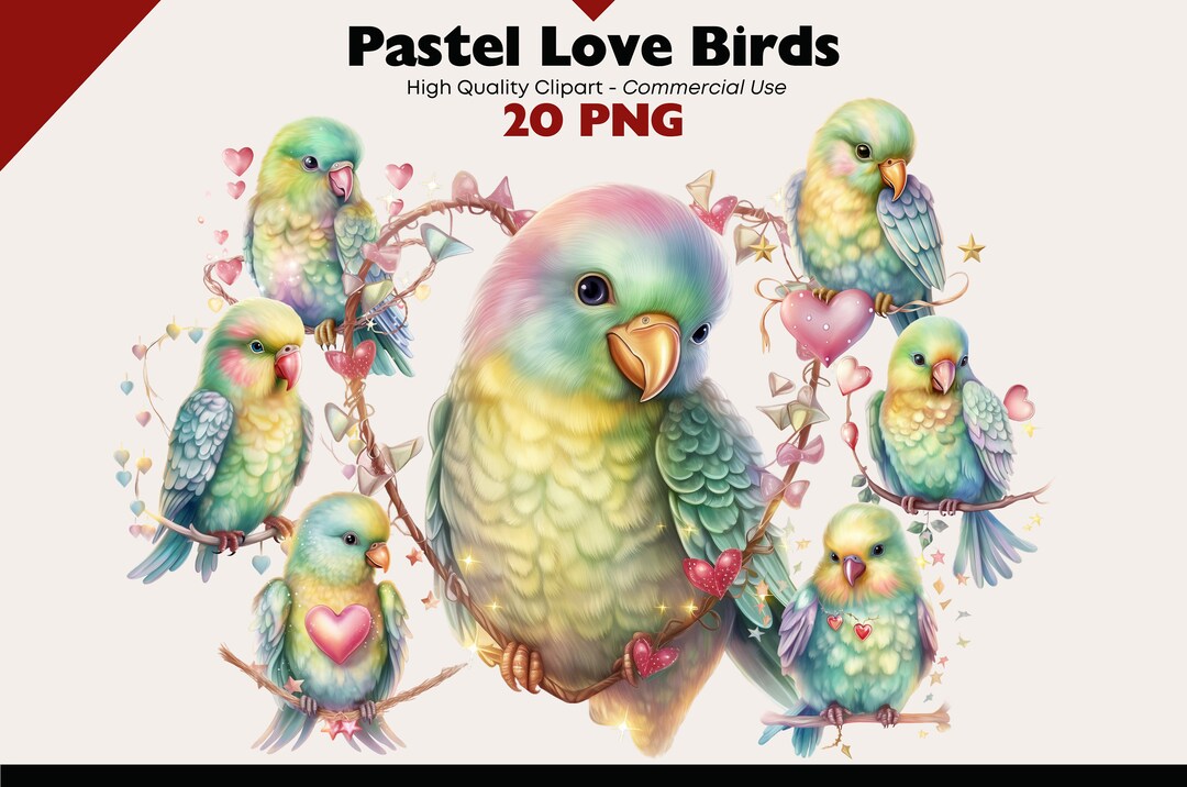 Pastel Birds Clipart Bundle, Parrot PNG, Watercolor Bird Illustrations ...