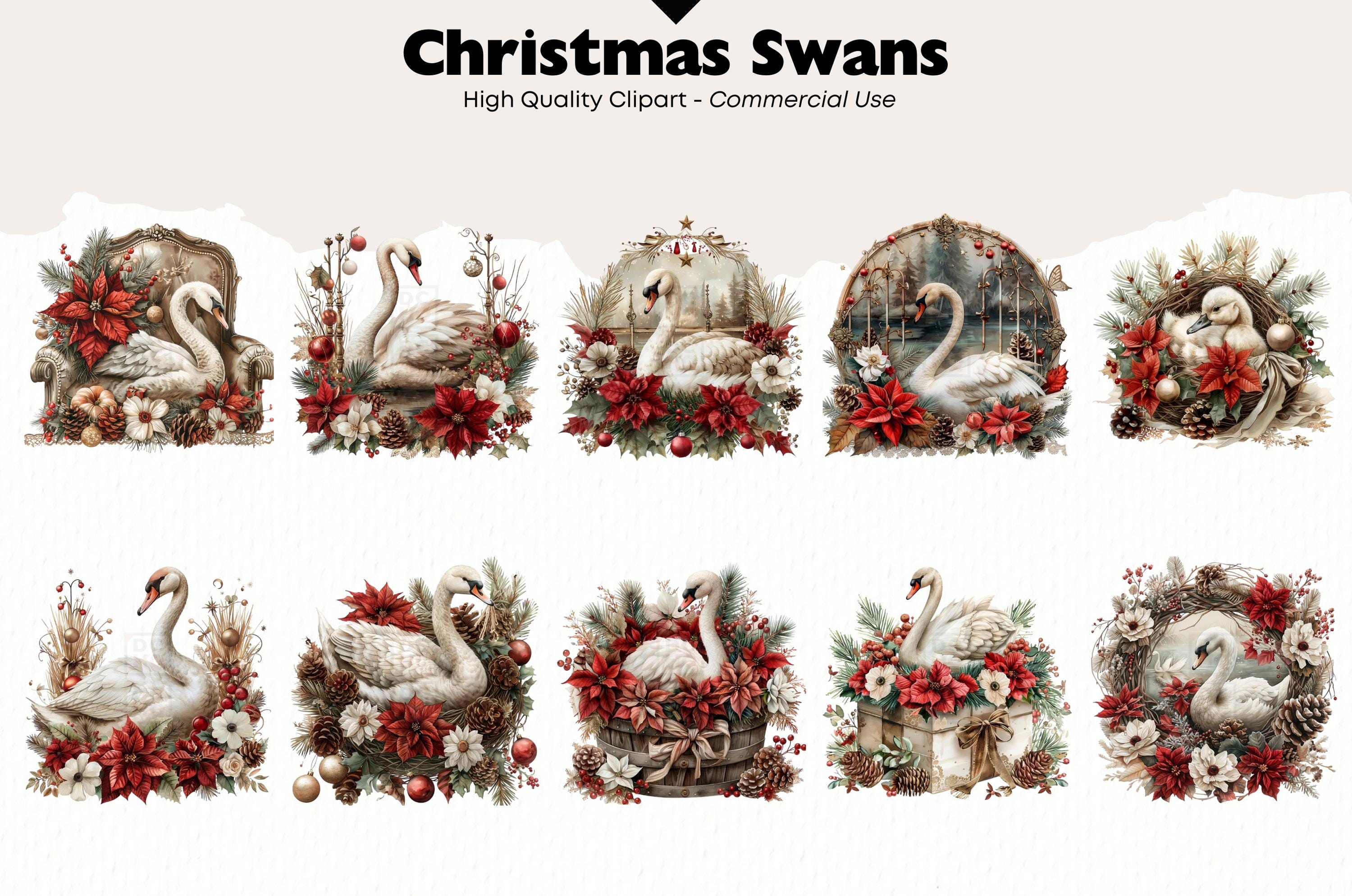 Christmas Swan Clipart Bundle | Elegant Holiday Swan Graphics | Digital ...