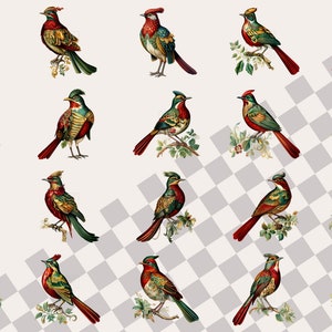 Fantasy Christmas Birds PNG Clipart Bundle, Fantasy Birds Winter ...