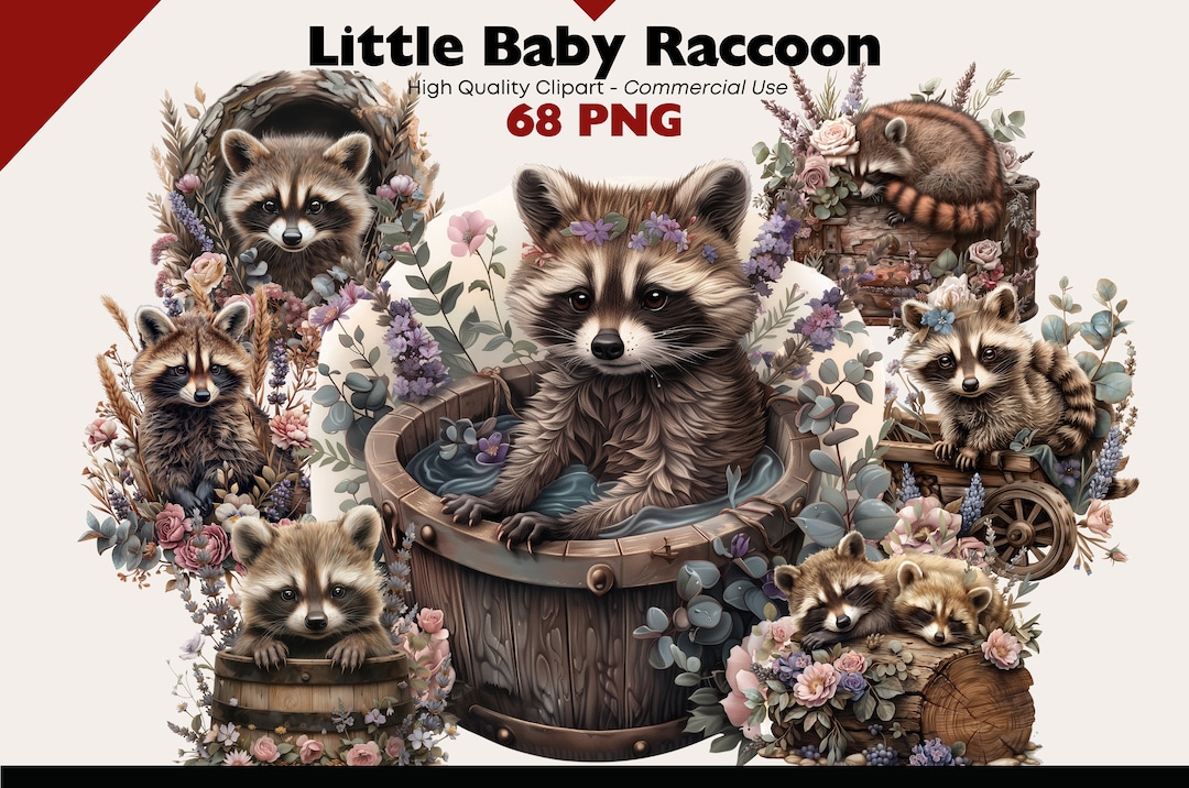 Little Baby Raccoon Clipart Bundle, Cute Animal Png, Watercolor Raccoon ...