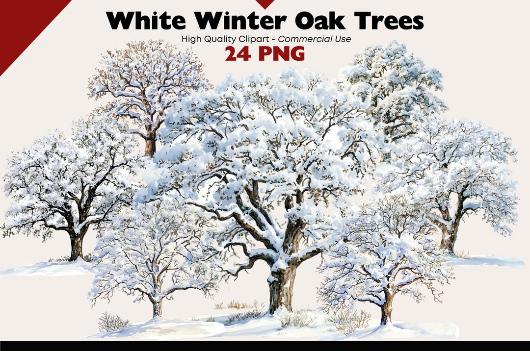 Winter Tree Clipart Bundle Snowy Oak Tree Graphics Digital Download PNG ...