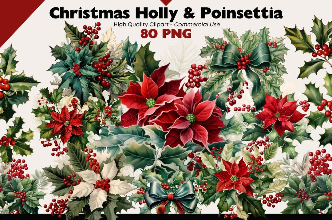 Christmas Holly Clipart, Holly PNG Bundle, Poinsettia and Holly ...