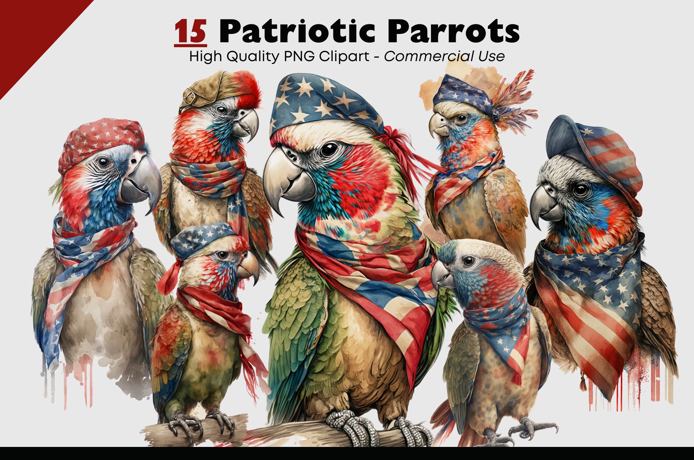 Parrot Graphics