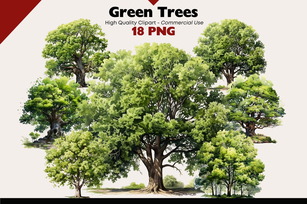 Green Trees Clipart Bundle Summer Woodland Watercolor Forest View ...