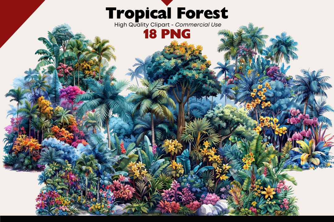 Tropical Forest Clipart Bundle Exotic Jungle Watercolor Digital ...