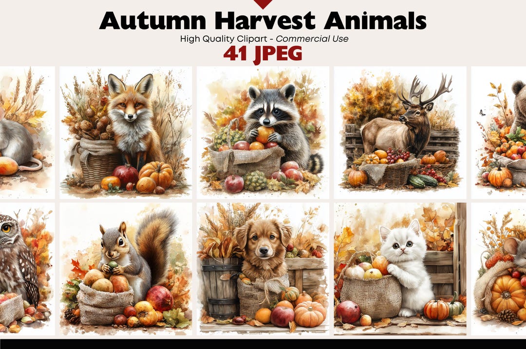Autumn Woodland Animal Clipart Bundle Cozy Fall Harvest Jpgs for Fall ...