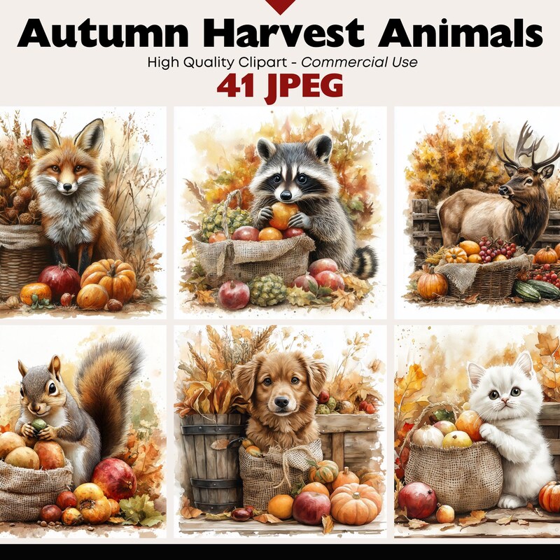 Woodland Autumn - Etsy