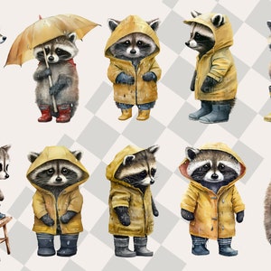 Rainy Raccoon Clipart Bundle, Yellow Raincoat Watercolor Clipart ...