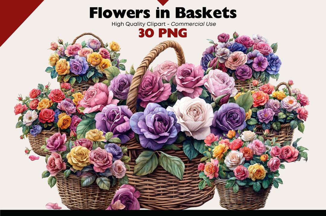 Flowers in Basket Clipart Bundle, Roses in Baskets PNG, Watercolor ...