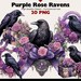 Purple Rose Raven Clip Art, Raven PNG, Corby PNG, Black Bird Clipart ...