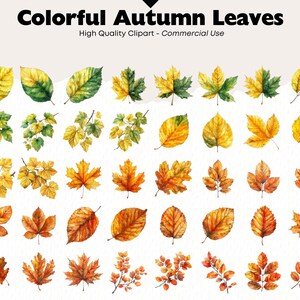 Autumn Leaves Watercolor Clipart Bundle Fall Watercolor Maple Leaf Png ...